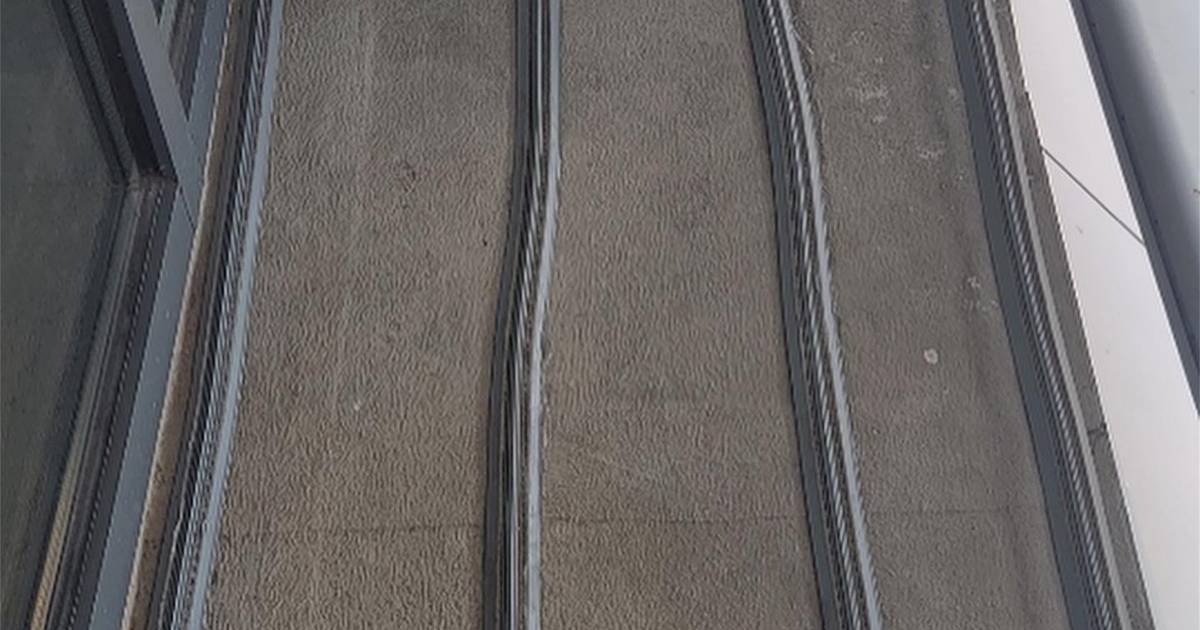 Shock Track Bird Deterrents NJ, NY, CT | Birds & Geese Beware, Inc