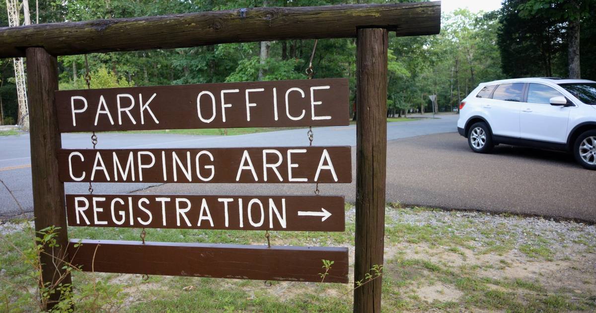 Parks Department Canada geese Control NJ, NY, CT | Birds & Geese Beware ...