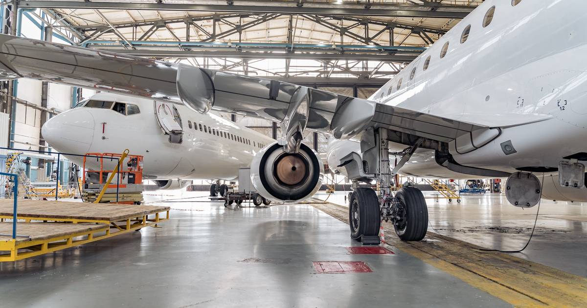 Airplane Hangar Bird Control NJ, NY, CT | Birds & Geese Beware, Inc