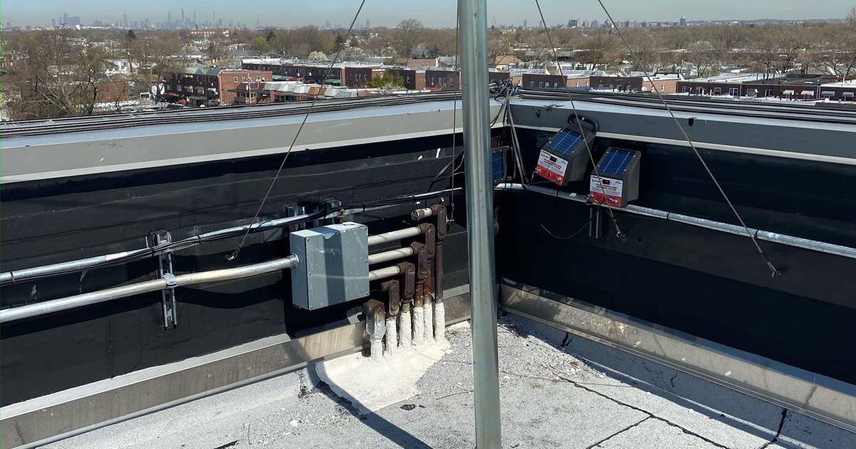 Wire-Grid Deterrents NJ, NY, CT | Birds & Geese Beware, Inc