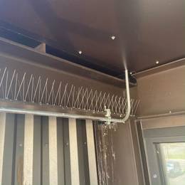 Bird Spike Deterrents NJ, NY, CT | Birds & Geese Beware, Inc